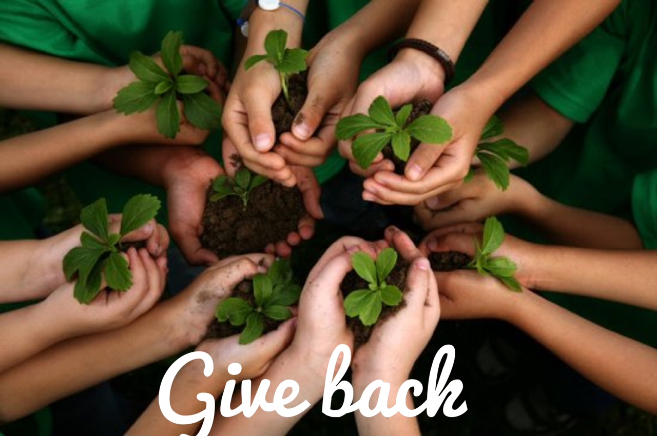 Get Out There! Top Outdoor Adventures for Seattle Kids and Families ...