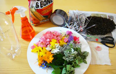 13 Spring and Earth Day Crafts and Activities for Kids | ParentMap