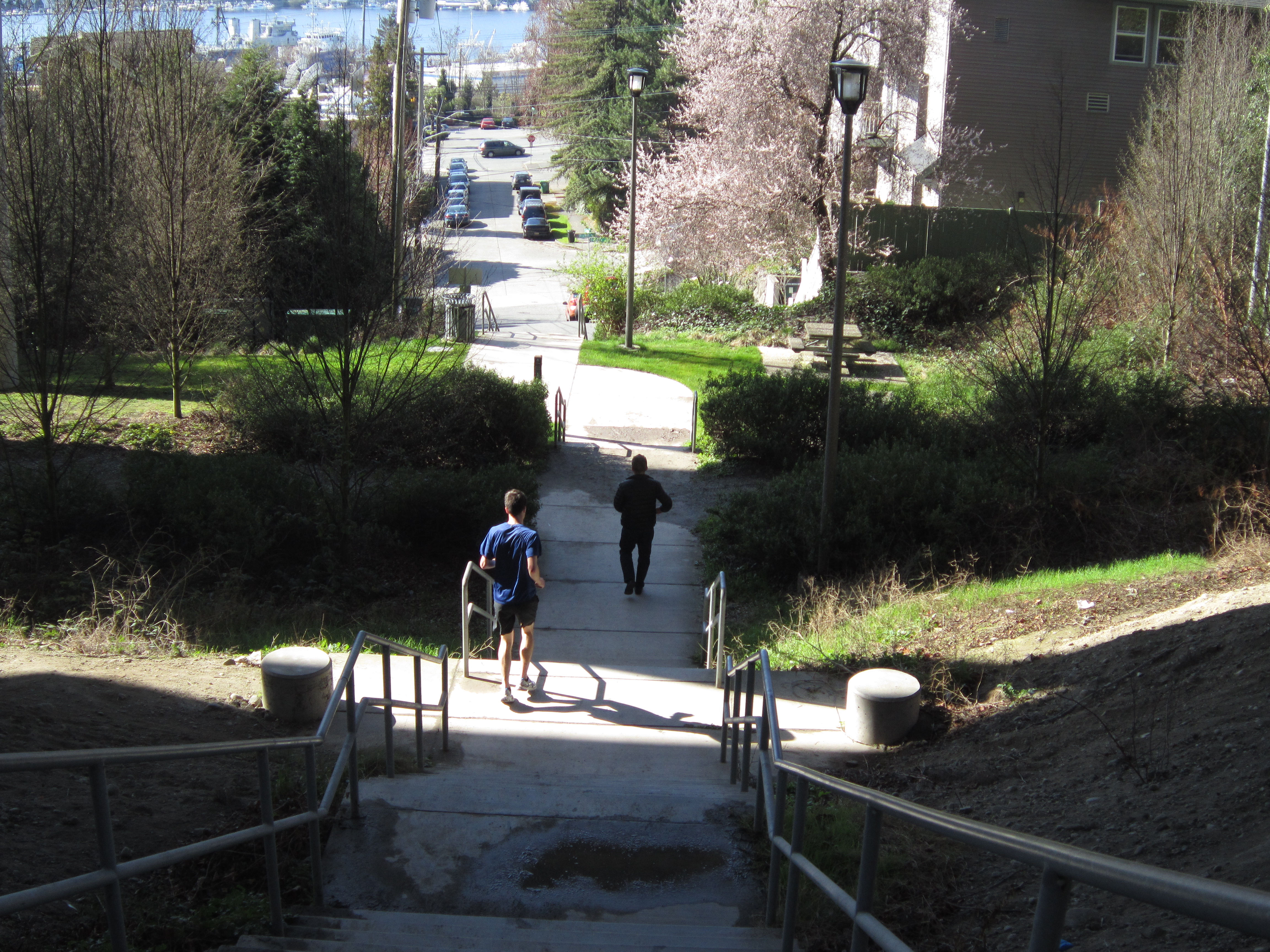 Climbing the Streets: Six Fantastic Stairway Walks for Seattle Families ...