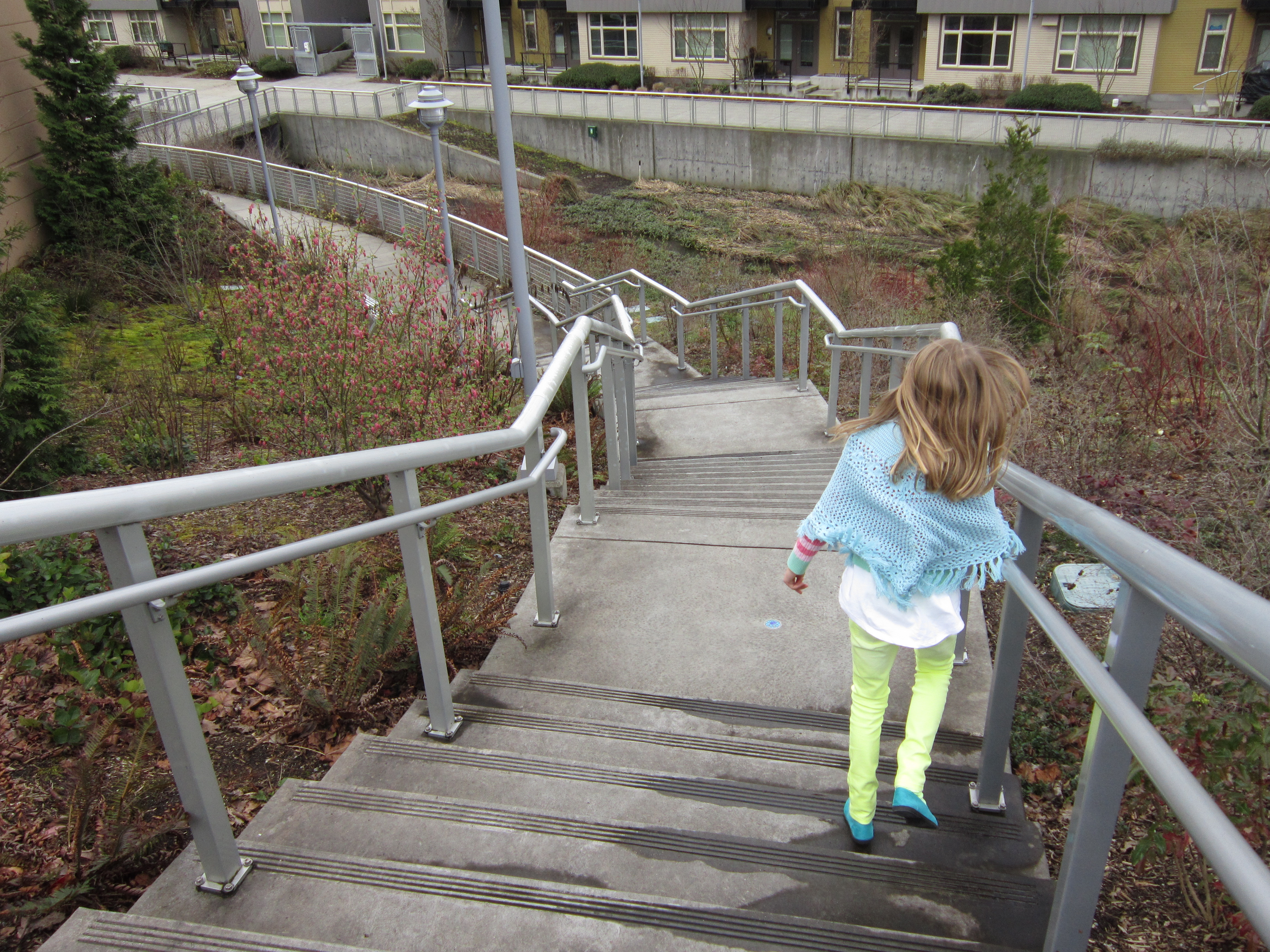Climbing the Streets: Six Fantastic Stairway Walks for Seattle Families ...