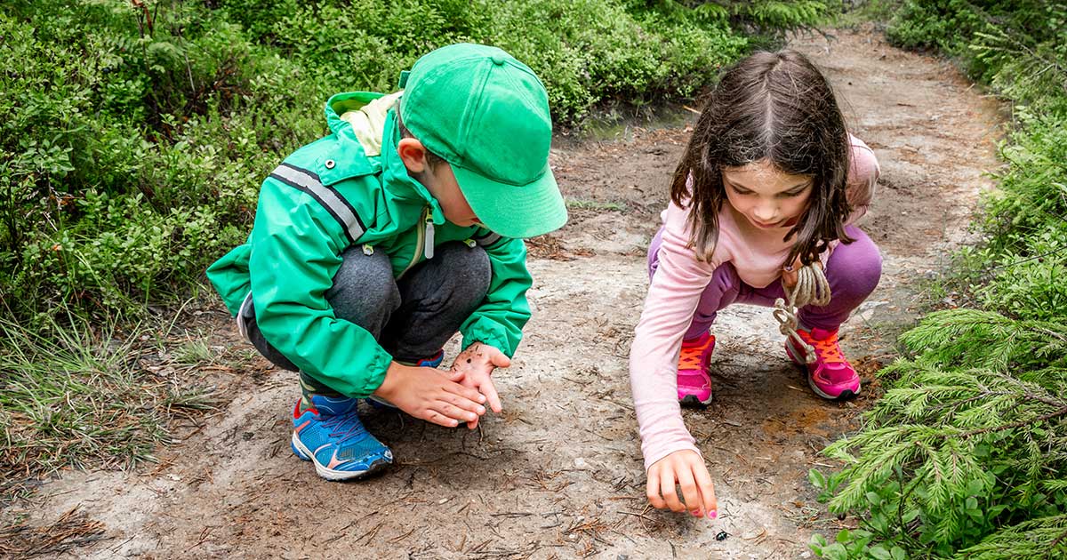 5 Activities for Kids Who Love Bugs, Birds and Other Critters | ParentMap