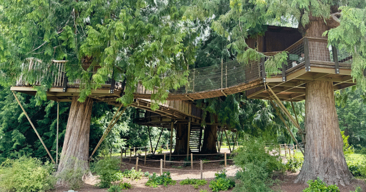 Fun Tree Houses and Forts Around Seattle | ParentMap