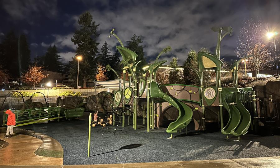 7 Lighted Seattle-Area Playgrounds to Brighten Your Night | ParentMap