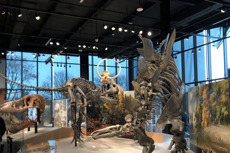 Free Things to Do in Seattle: October 2024 | ParentMap