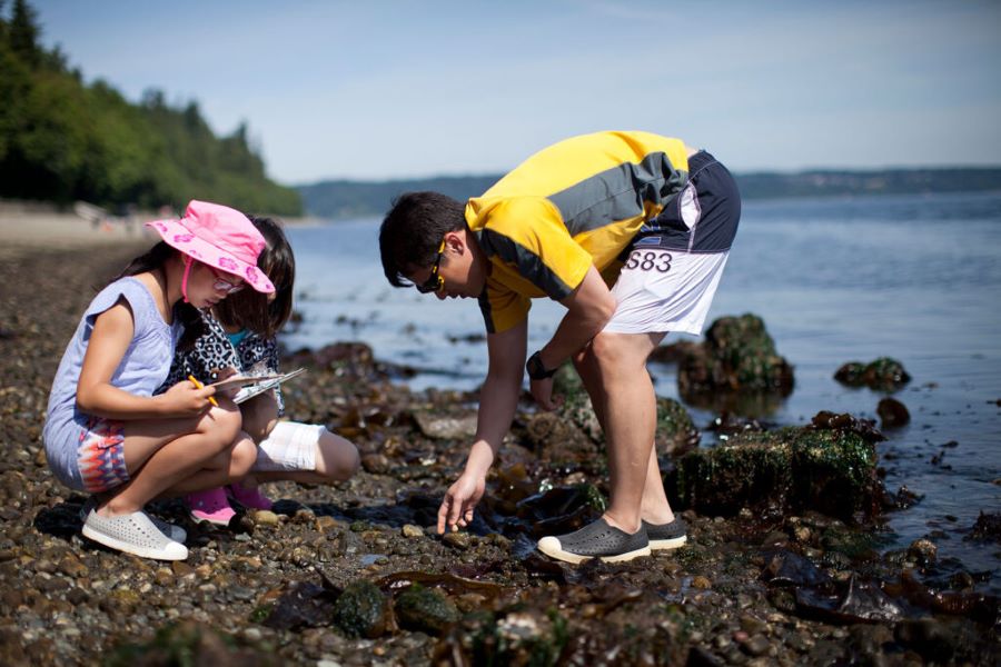 Free Things to Do in Seattle: June 2024 | ParentMap