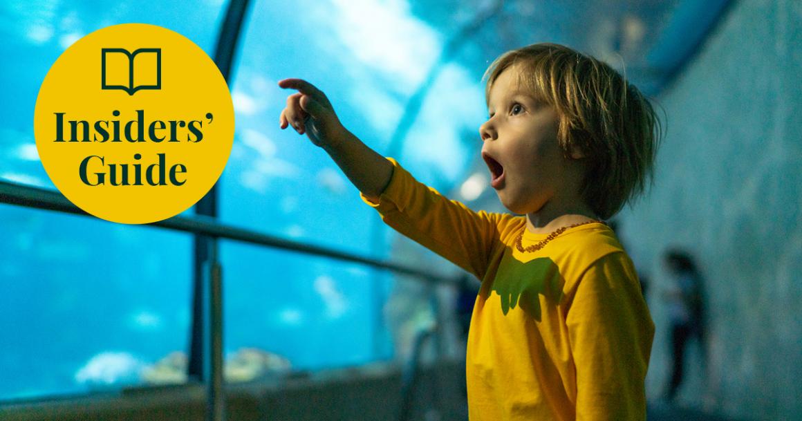 Insiders’ Guide 2021 | ParentMap