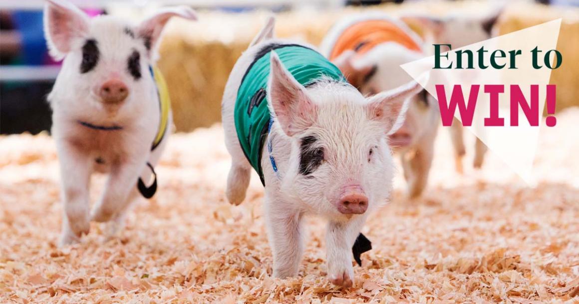 Win an Exclusive Washington State Spring Fair Family Fun Pack | ParentMap