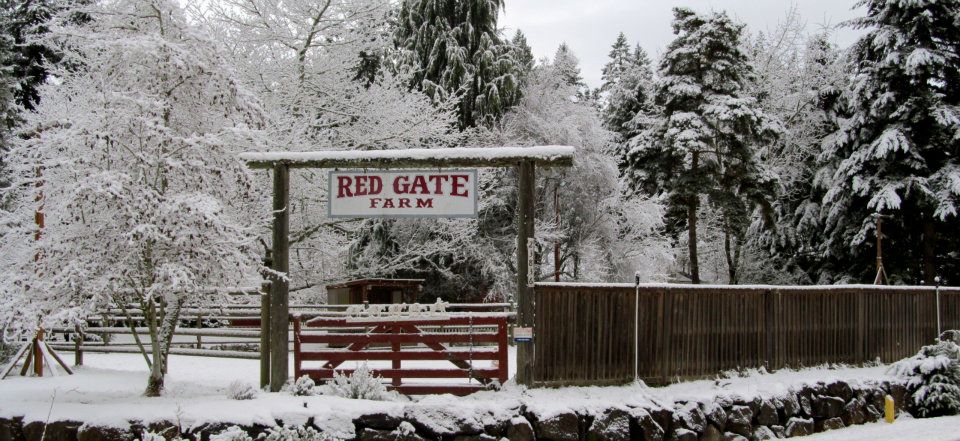 Red Gate Farm Day Camp & Riding Lesson Program | ParentMap