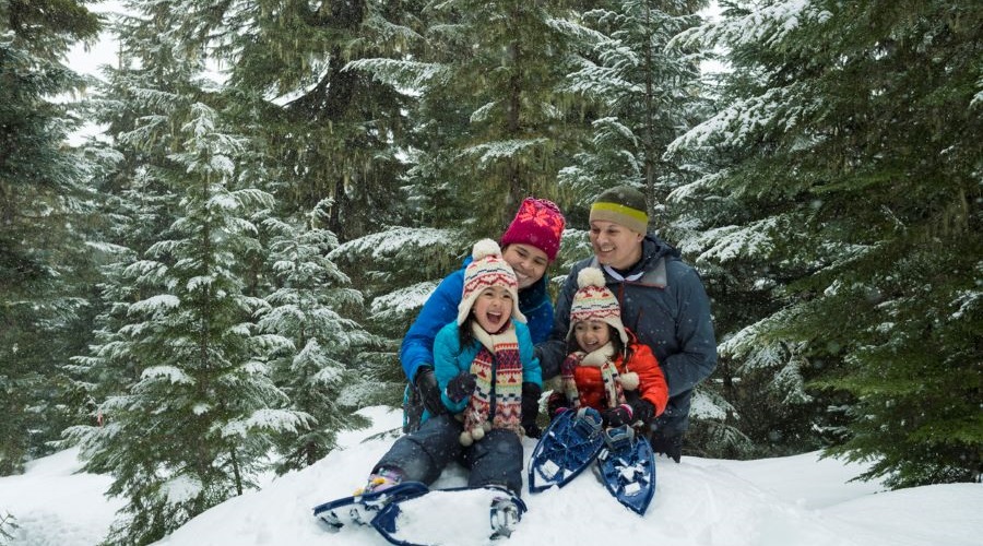 Free Things to Do in Seattle: February 2025 | ParentMap