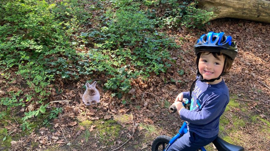 Free Things to Do in Seattle: April 2025 | ParentMap