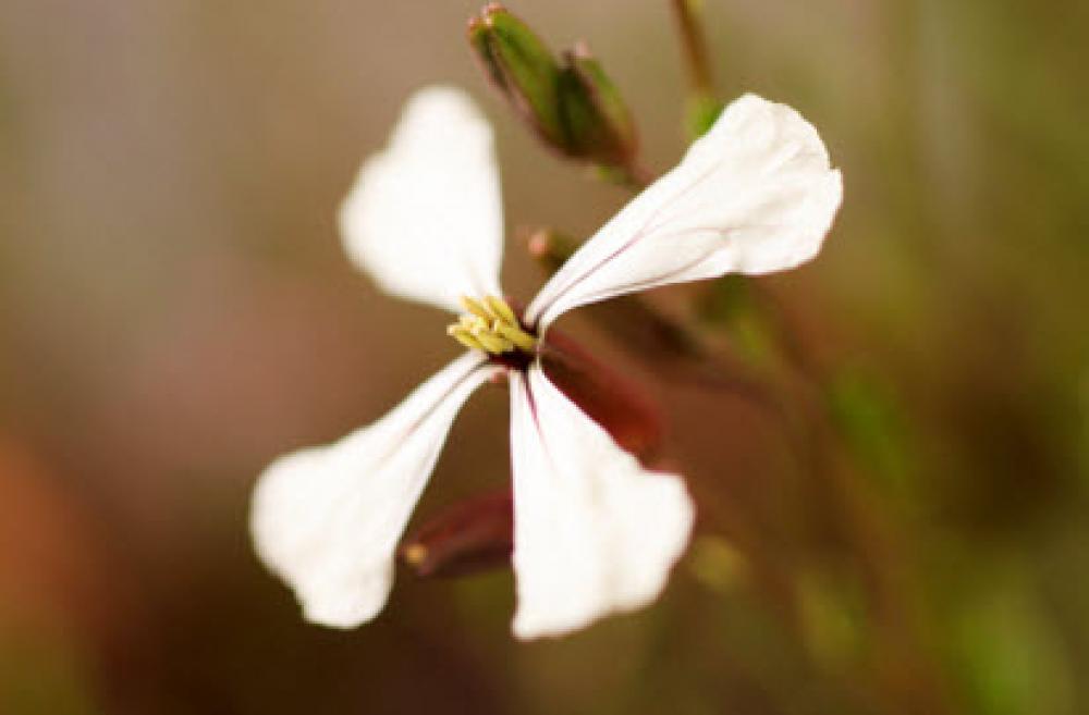 Parent Health + Relationships | ParentMap