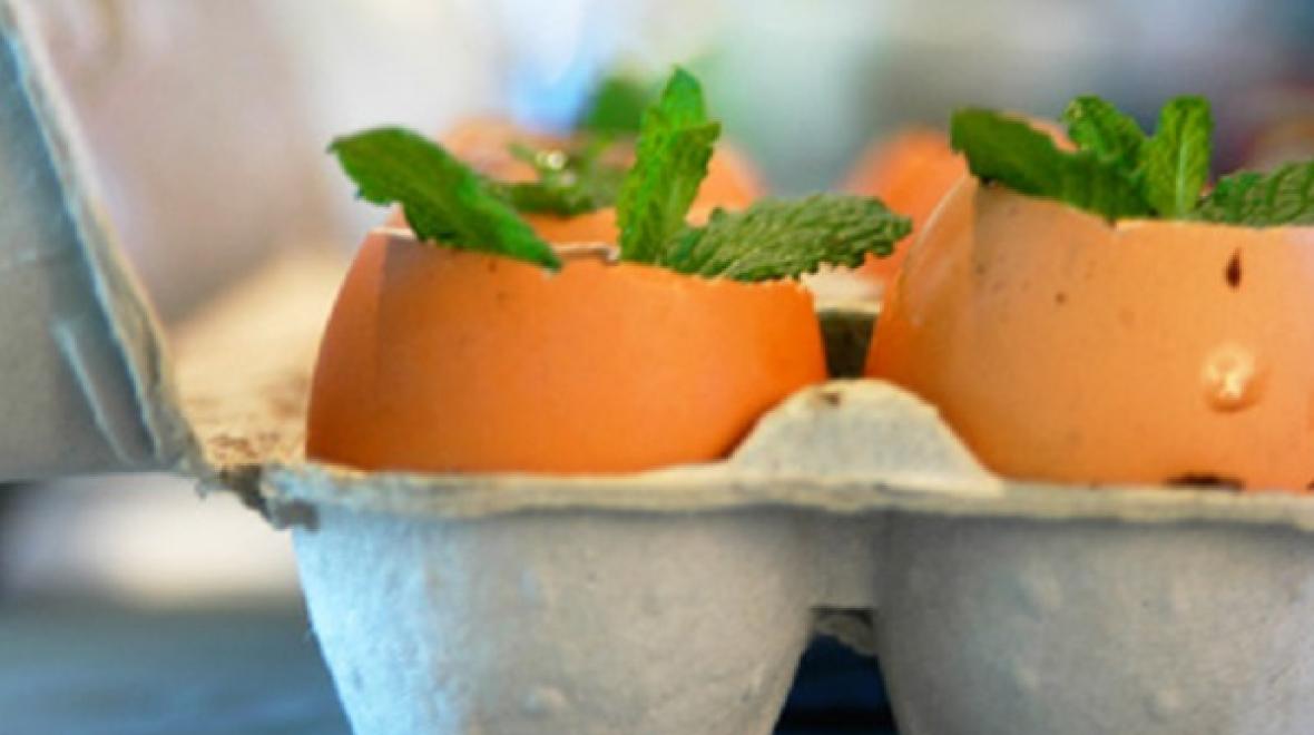 10 Garden Crafts for Kids | ParentMap