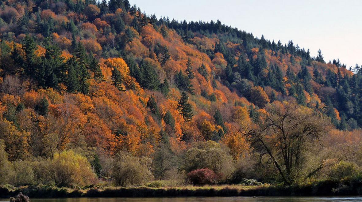 Best Fall Hikes Near Seattle | ParentMap