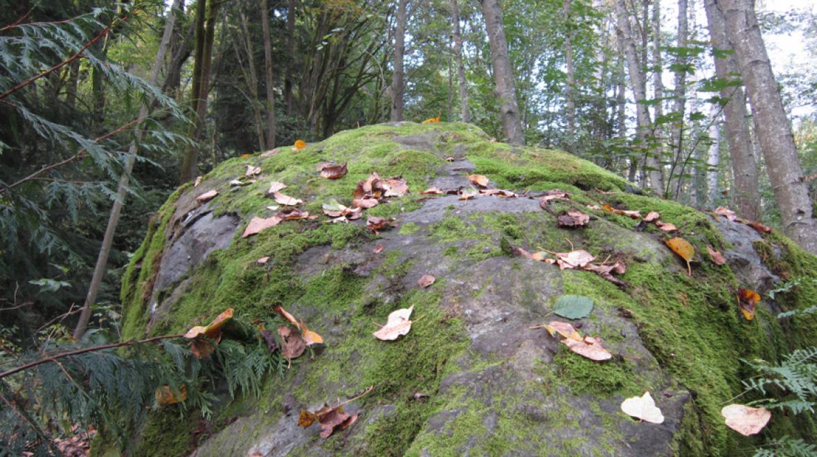 If Rocks Could Talk: 6 Glacial Erratics to Visit Around Puget Sound ...