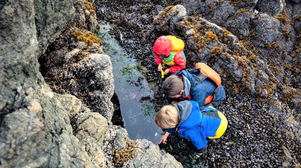Low Tide Beach Scavenger Hunt for Seattle-Area Families | ParentMap