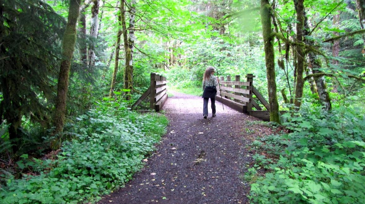 Best Kid-Friendly Fall Hikes Around Seattle | ParentMap