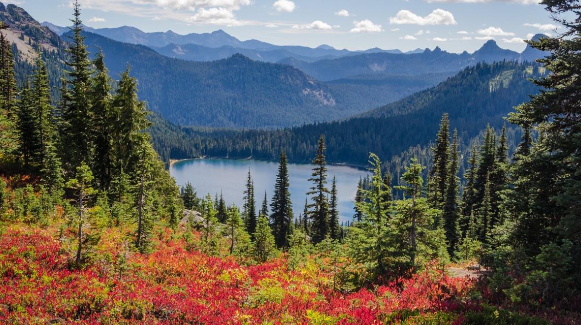 Best Kid-Friendly Fall Hikes Around Seattle | ParentMap