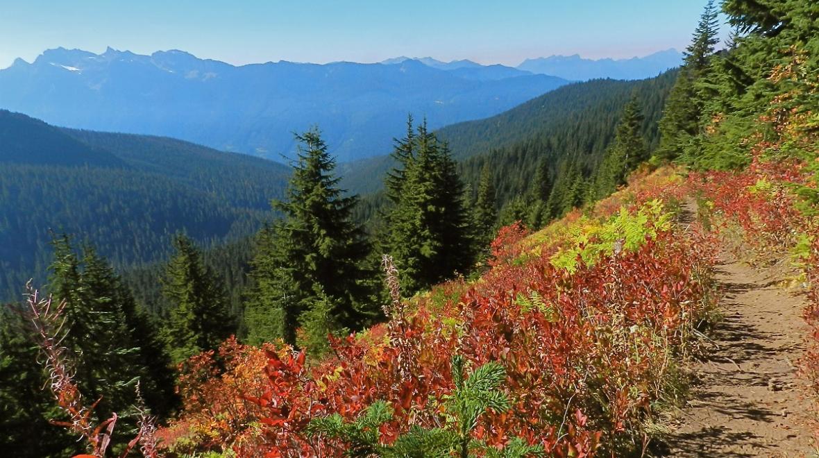 Best Kid-Friendly Fall Hikes Around Seattle | ParentMap