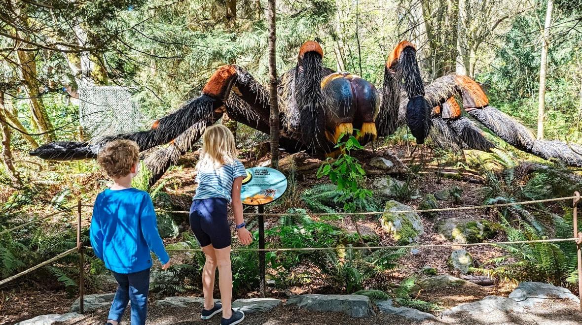 New Woodland Park Zoo Special Exhibit: ‘A Bug’s Eye View’ | ParentMap