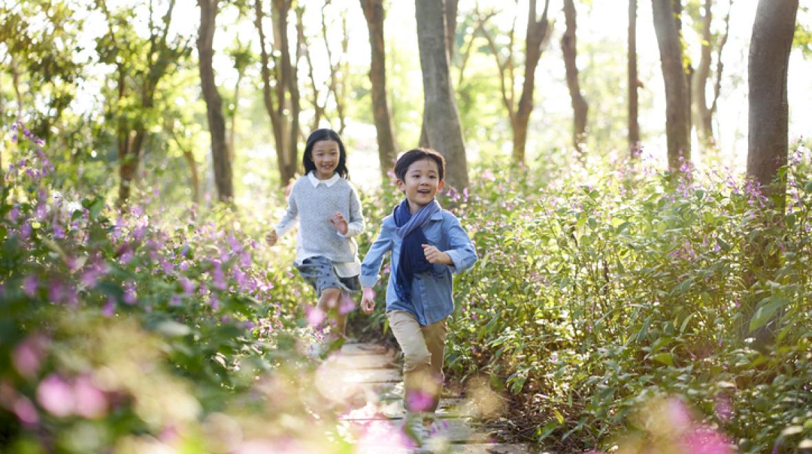 Best Spring Hikes in the Seattle Area for Kids and Families | ParentMap