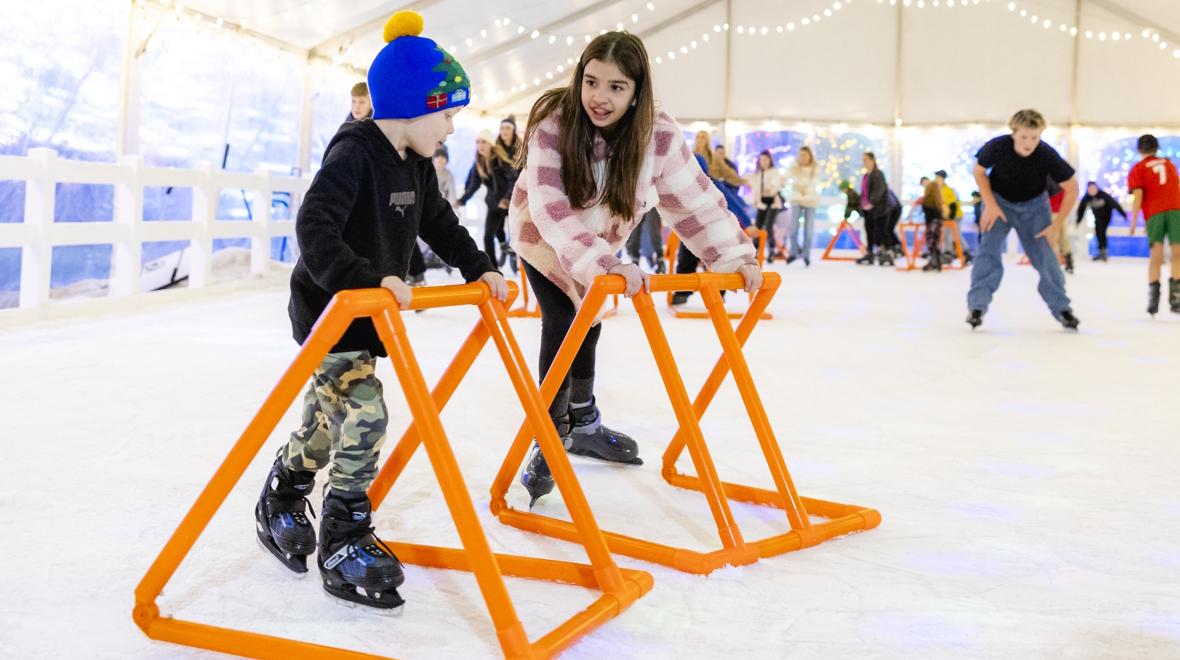 Best Ice Skating Rinks Around Seattle, the Eastside and South Sound ...