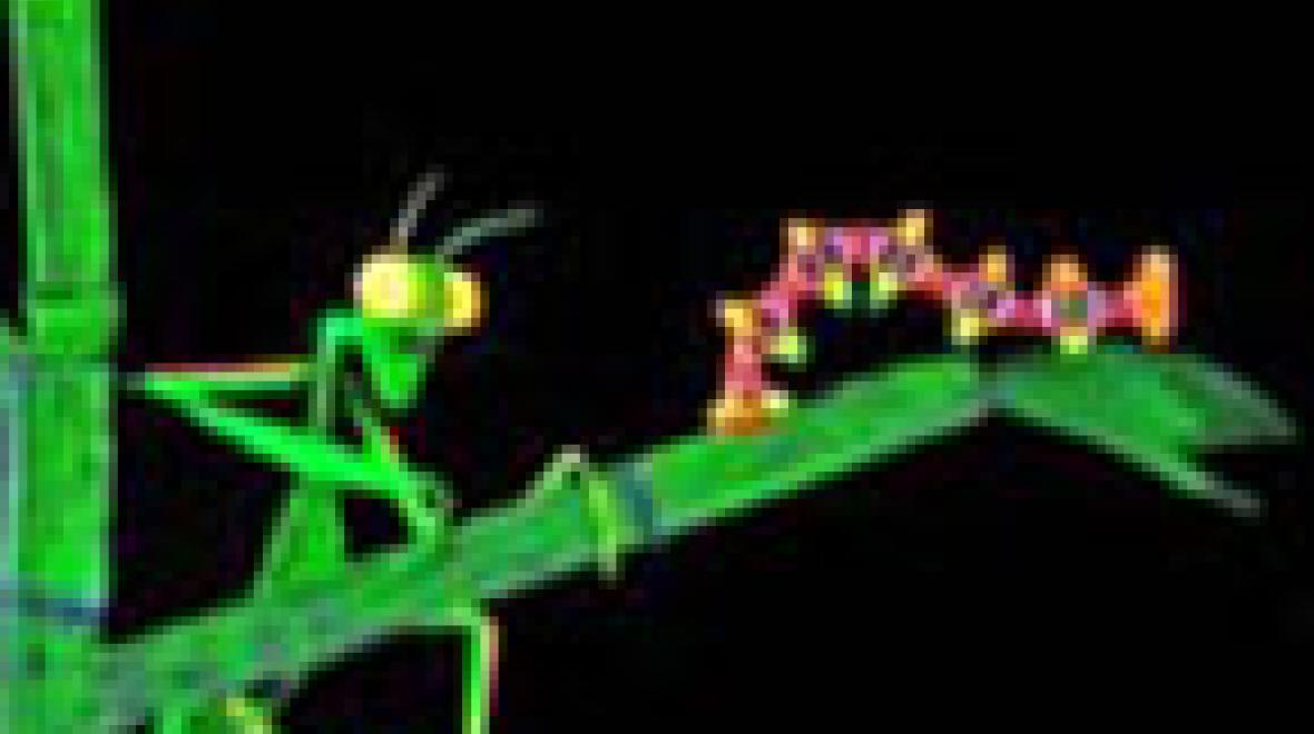 The Secret Life of Bugs at Northwest Puppet Center | Seattle Area ...