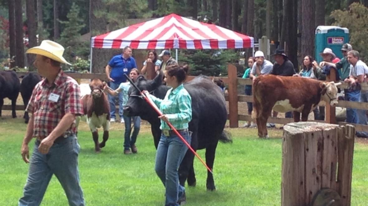 Pierce County Fair | Seattle Area Family Fun Calendar | ParentMap