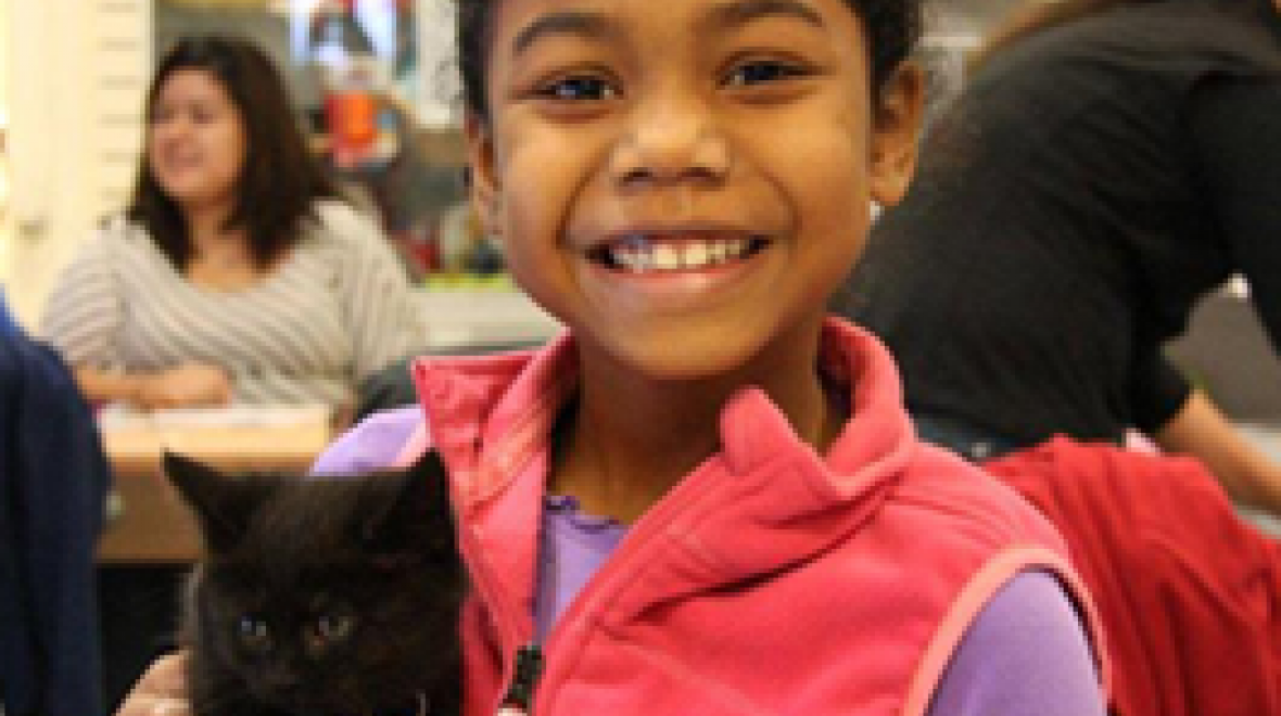 Kitten Bop at Seattle Humane Society | Seattle Area Family Fun Calendar ...