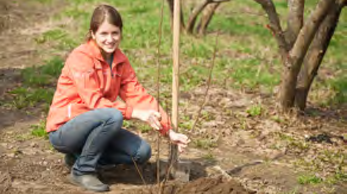 Arbor Day/Earth Day Family Festival | Seattle Area Family Fun Calendar ...