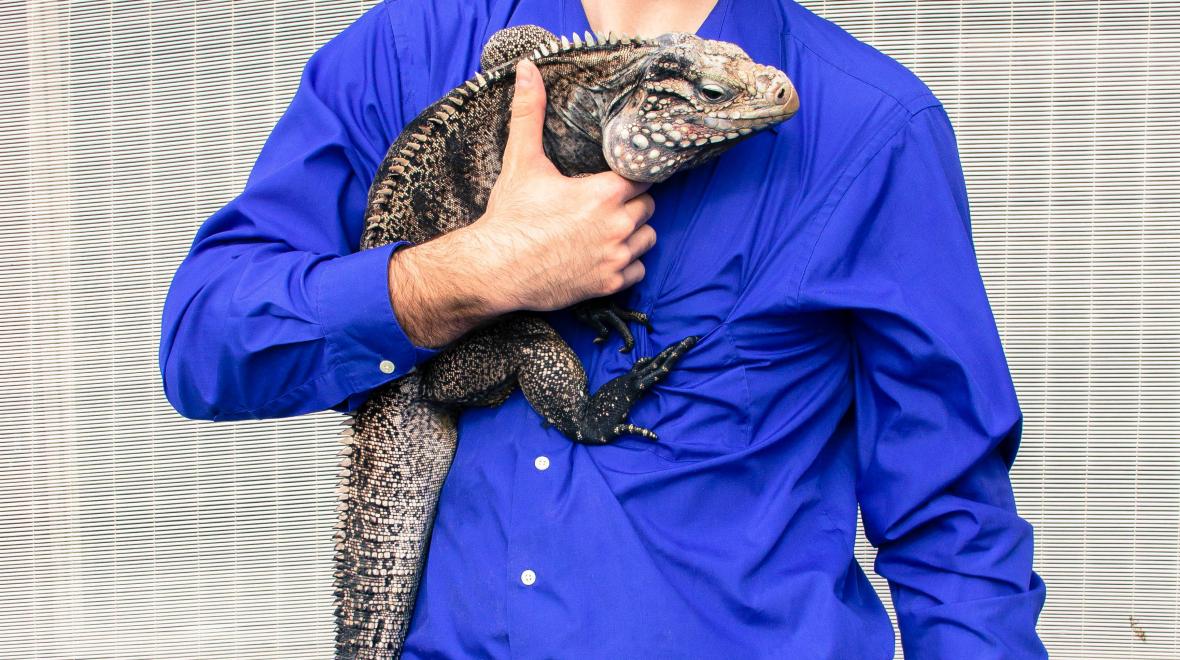 Son of Reptile Man (Entertainment) and The Jungle Book (Movie ...