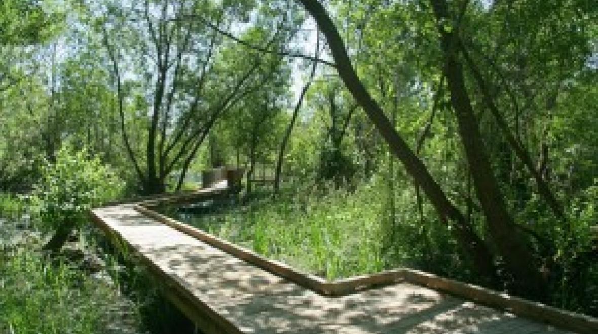 Halloween Swamp Stomp at Yesler Swamp | Seattle Area Family Fun ...