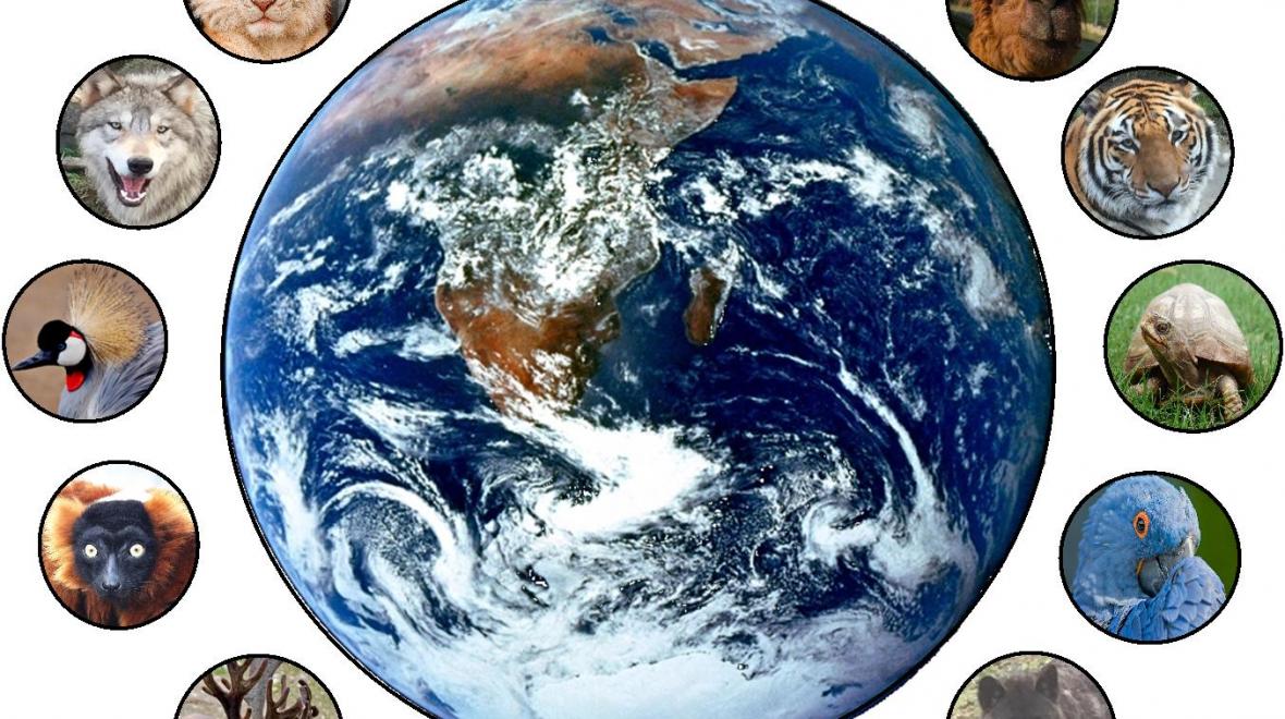 Celebrate Earth Day at Cougar Mountain Zoo | Seattle Area Family Fun ...