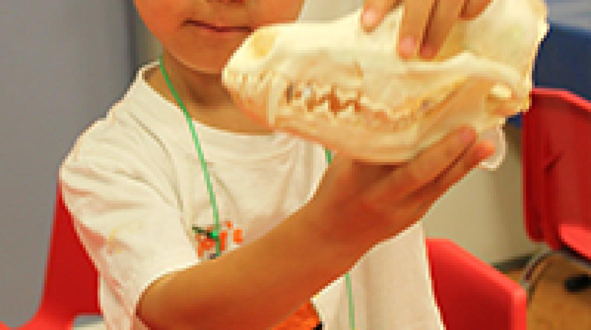 QuestClub After-School Science | Seattle Area Family Fun Calendar ...