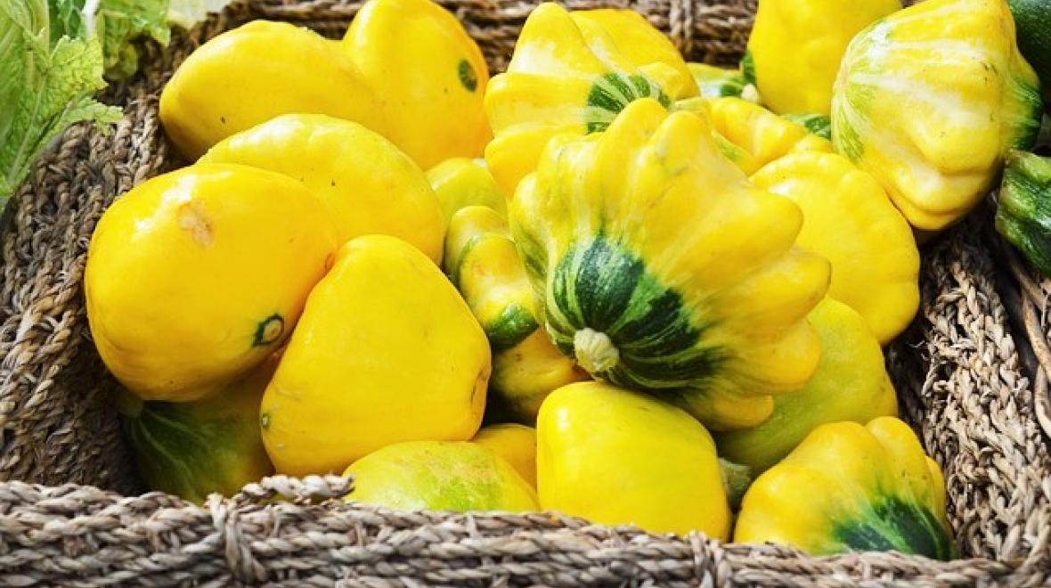 Get Squashed | Seattle Area Family Fun Calendar | ParentMap