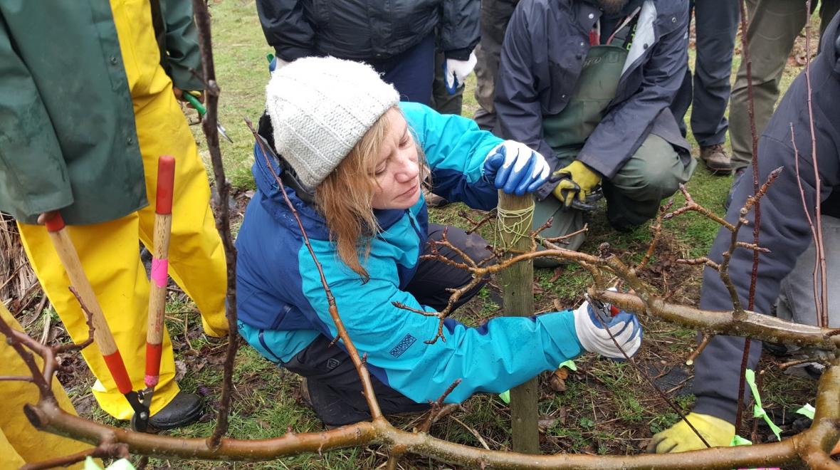 Tree Pruning Workshop at CitySoil Farm | Seattle Area Family Fun ...