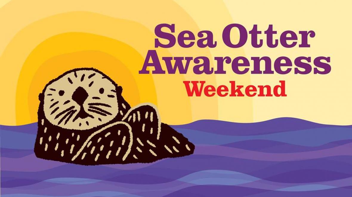 Sea Otter Awareness Weekend | Seattle Area Family Fun Calendar | ParentMap