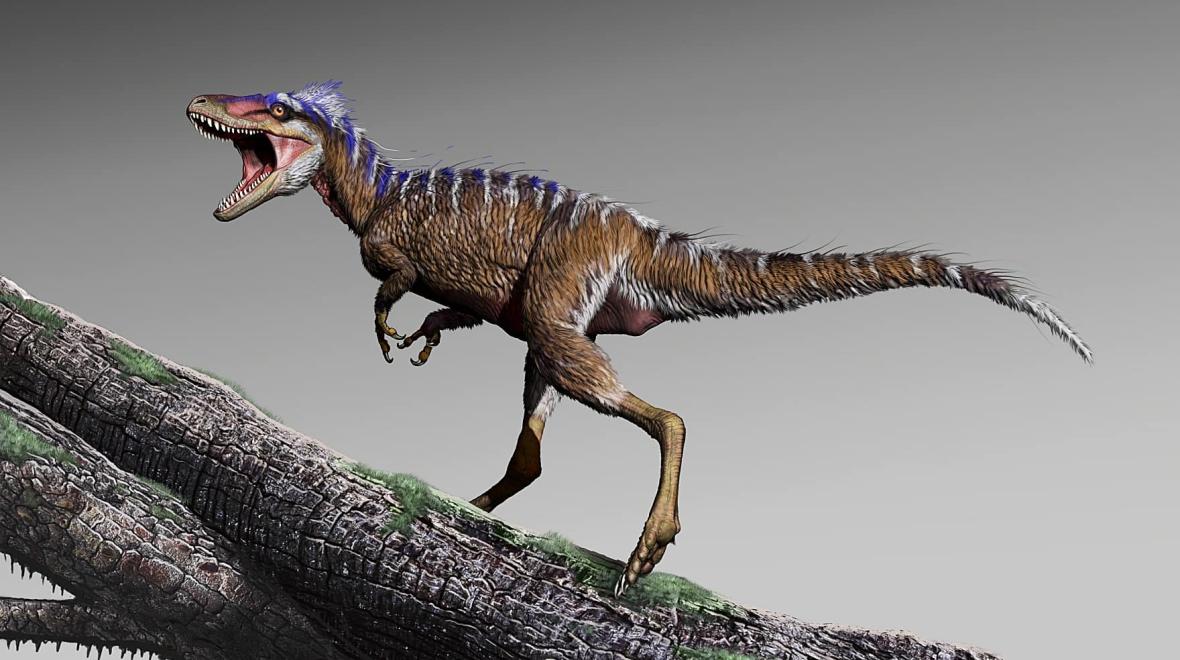 T. Rex Rises: National Geographic Live | Seattle Area Family Fun ...