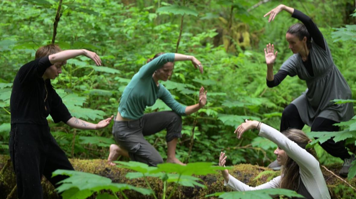 Dancing to the Music of the Forest | Seattle Area Family Fun Calendar ...