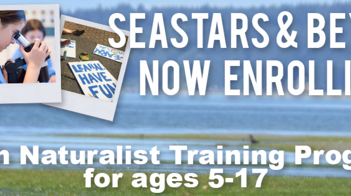 Open House for seaStars & Beyond Youth Naturalist Training Program | Seattle Area Family Fun ...