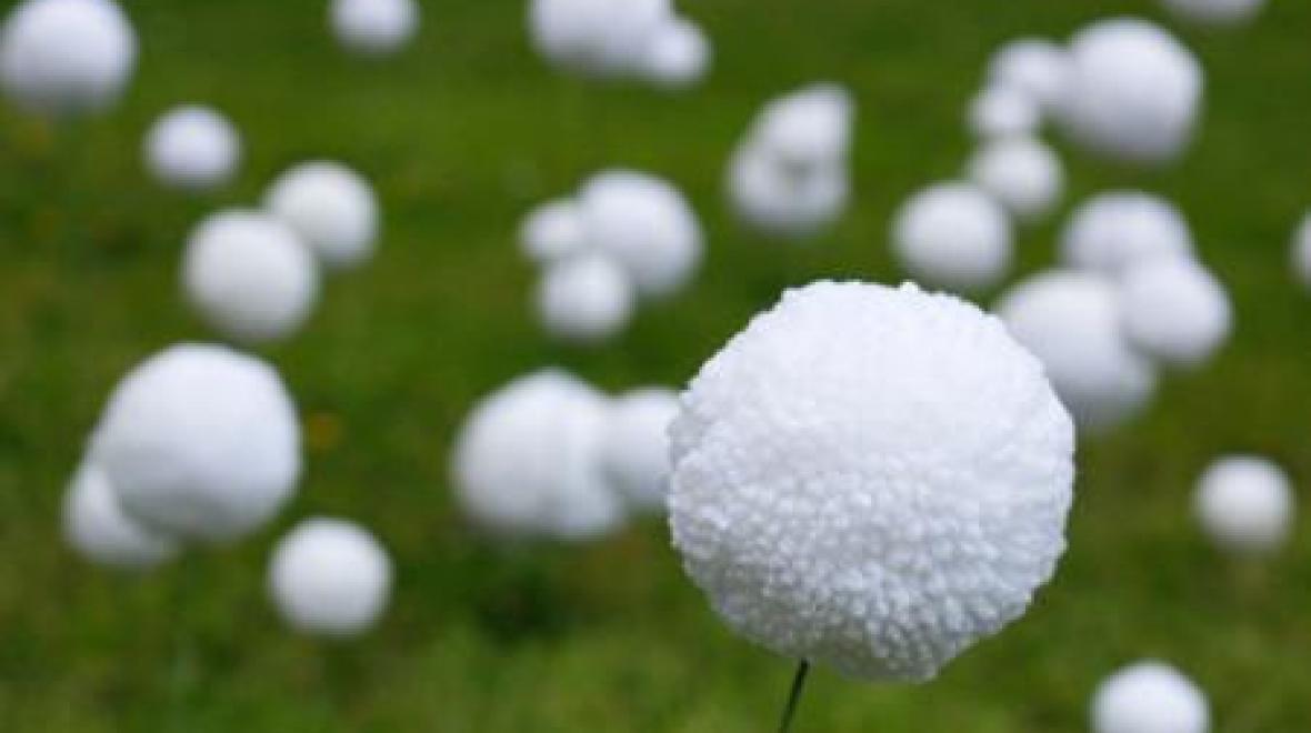 Pom-Pom Garden Installation | Seattle Area Family Fun Calendar | ParentMap