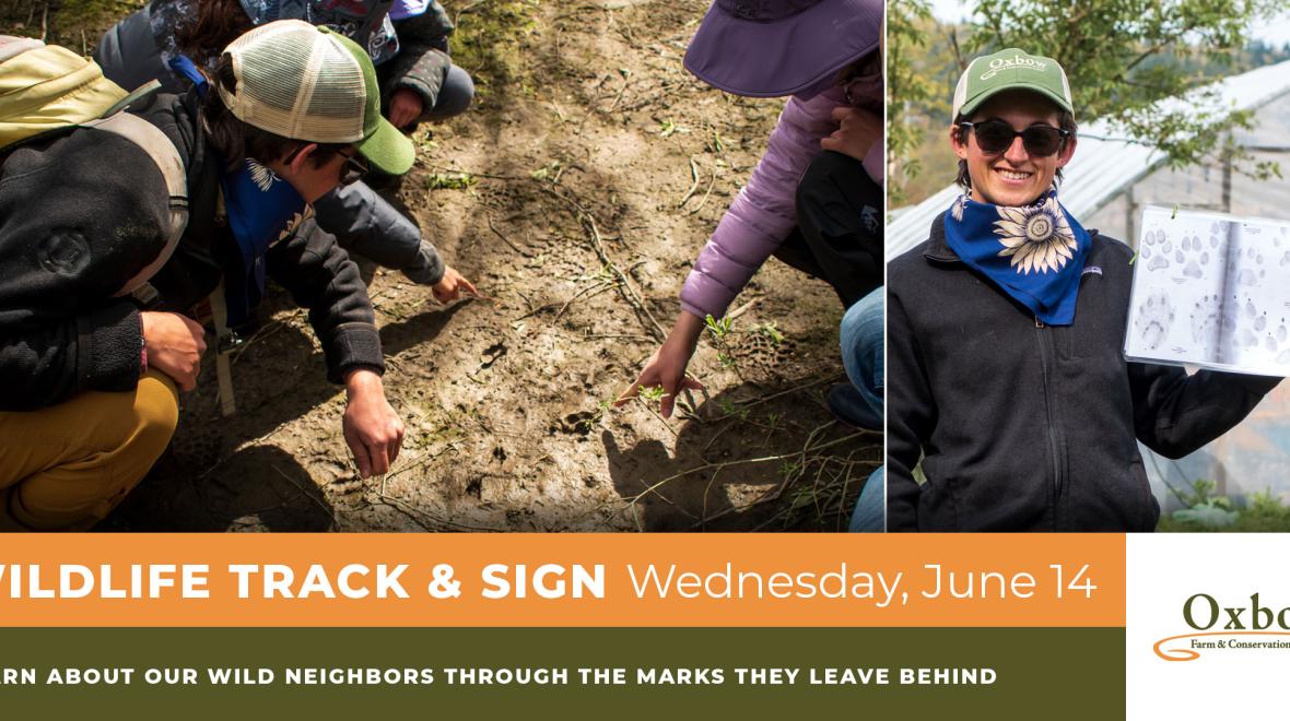 Oxbow Workshop: Wildlife Track & Sign | Seattle Area Family Fun ...