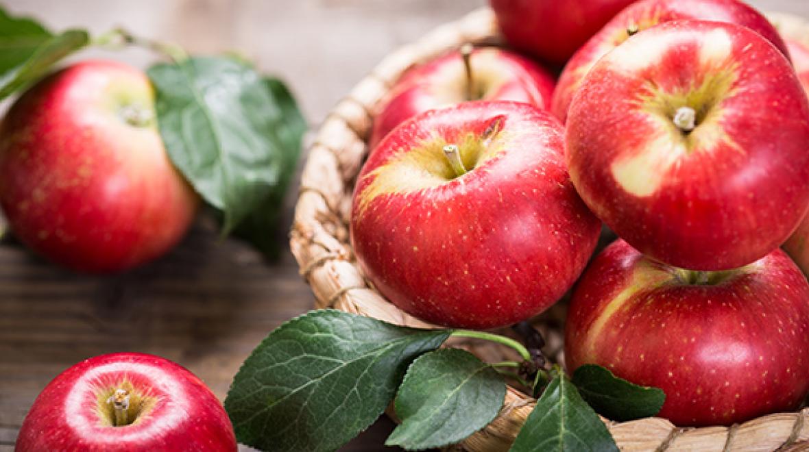 All About Apples | Seattle Area Family Fun Calendar | ParentMap