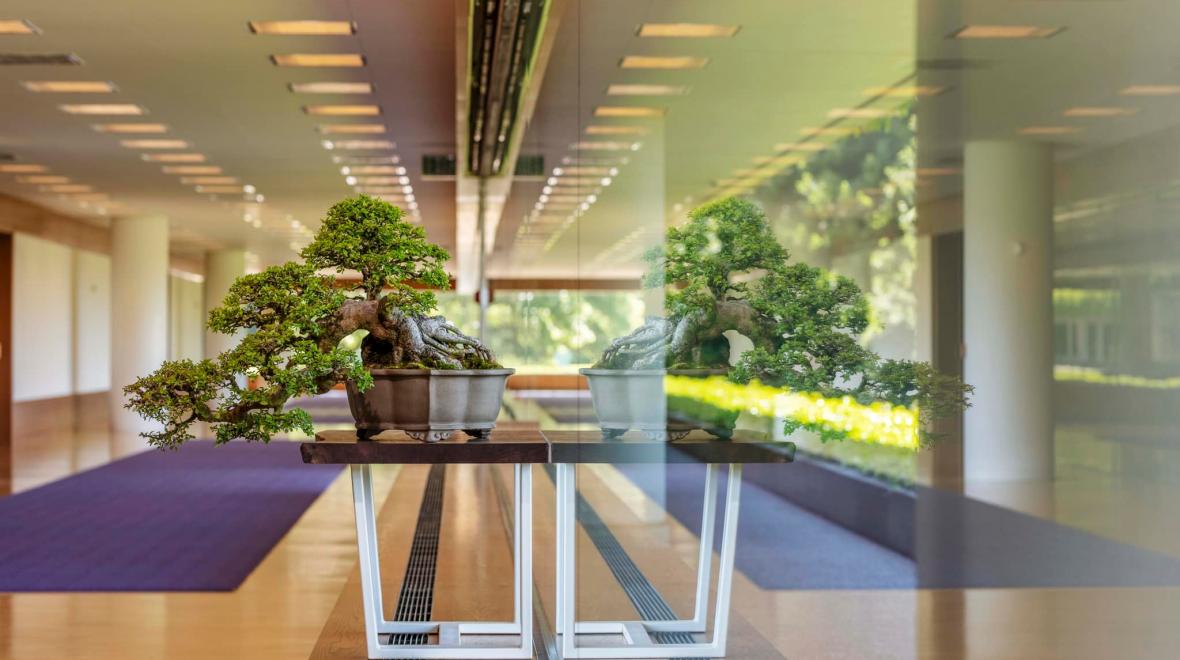 Branch Out | Seattle Area Family Fun Calendar | ParentMap