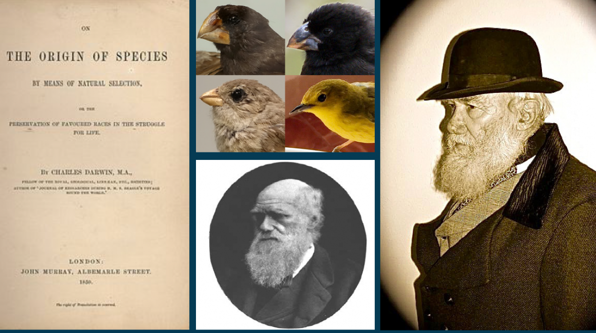 The Origin of Species by Charles Darwin | Seattle Area Family Fun ...