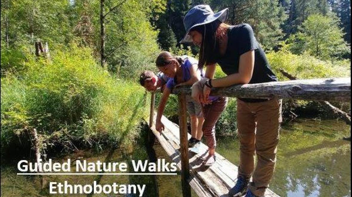 Guided Nature Walk: Ethnobotany Hike | Seattle Area Family Fun Calendar ...