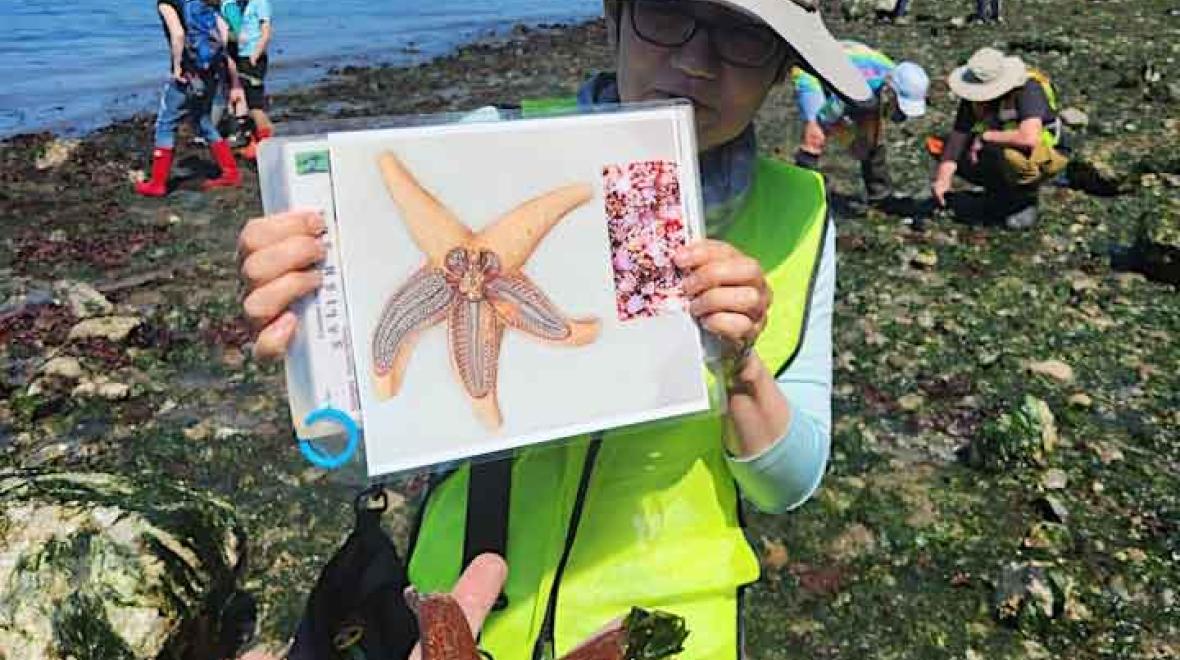 Low Tide Beach Exploration | Seattle Area Family Fun Calendar | ParentMap