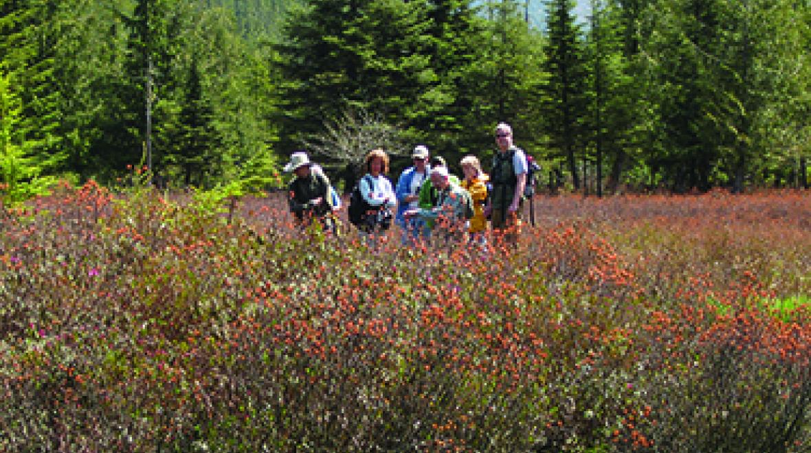 Quiet Water: Wetlands of the Watershed | Seattle Area Family Fun ...