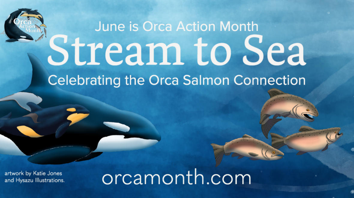 Virtual: Orca Action Month Kickoff | Seattle Area Family Fun Calendar ...
