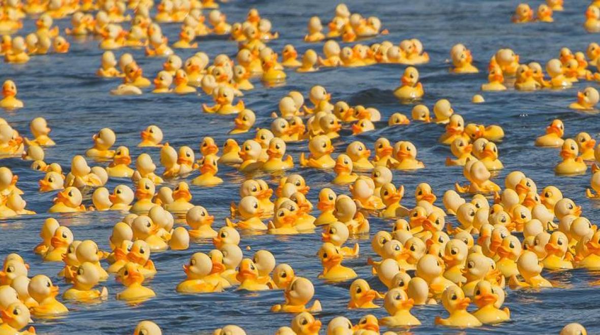 Renton River Days | Seattle Area Family Fun Calendar | ParentMap