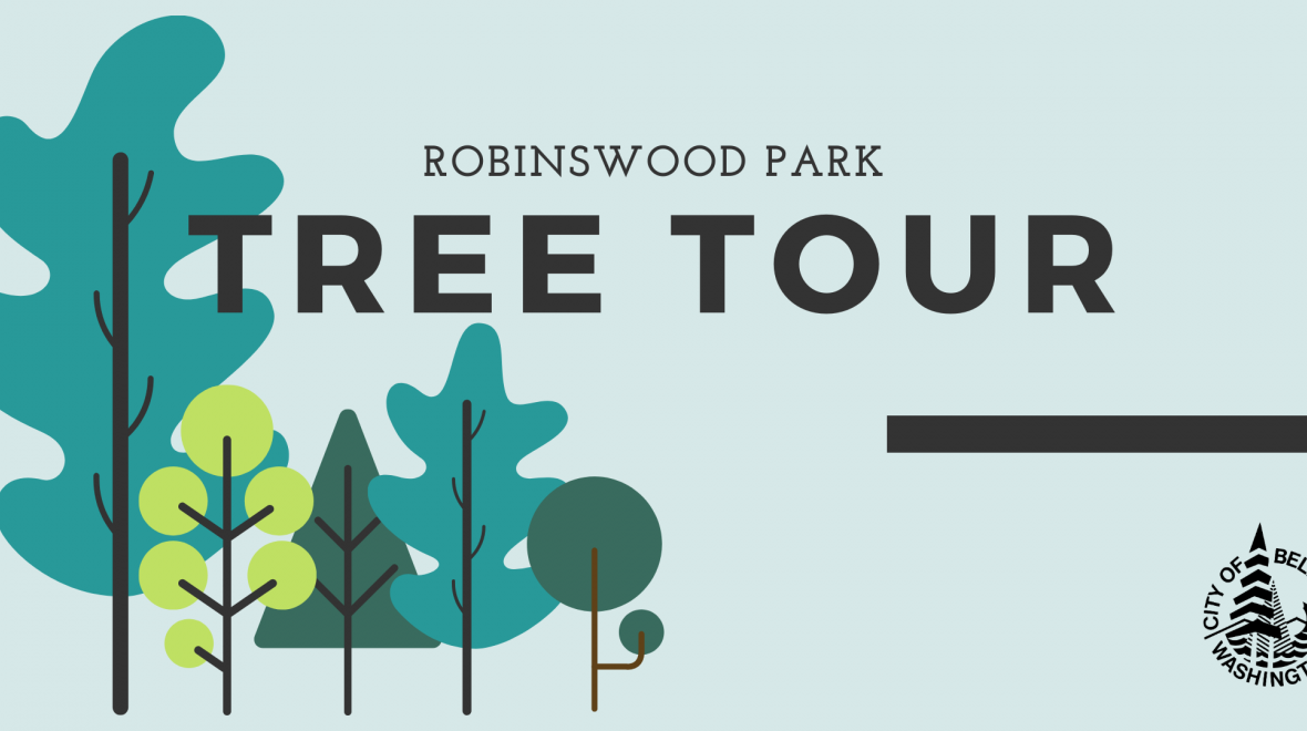 Tree Tour at Robinswood Park | Seattle Area Family Fun Calendar | ParentMap